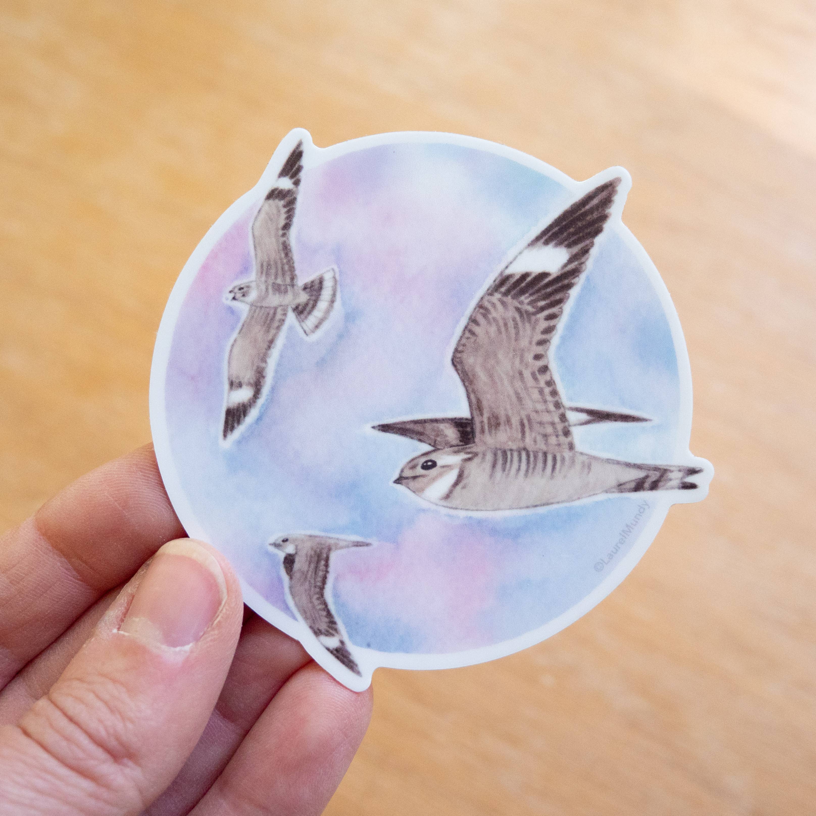 Nighthawks in Flight Vinyl Sticker – Stationery Universe